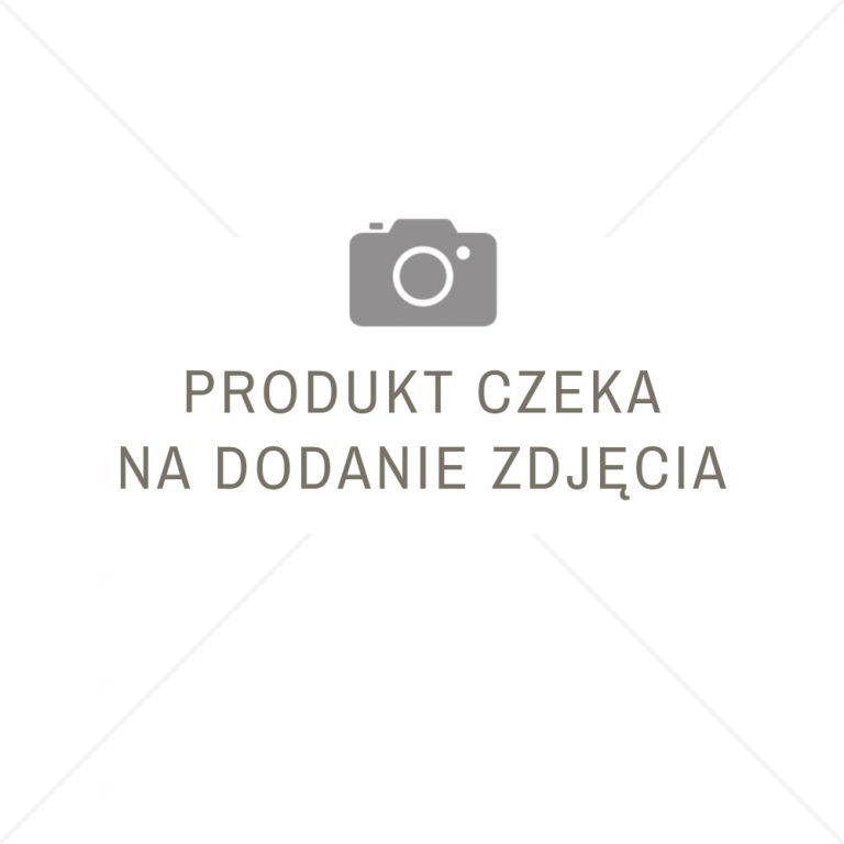 Cis POSPOLITY | Cisy | KRZEWY IGLASTE Cis POSPOLITY | Cisy | KRZEWY IGLASTE