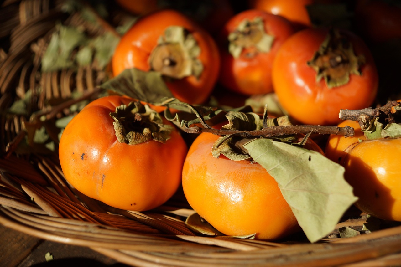 Kaki RAGNO | Pozostałe | DRZEWKA OWOCOWE